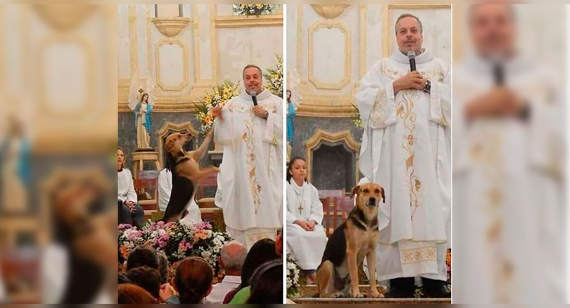 Sacerdote rescata perros callejeros e incentiva la adopción durante misa